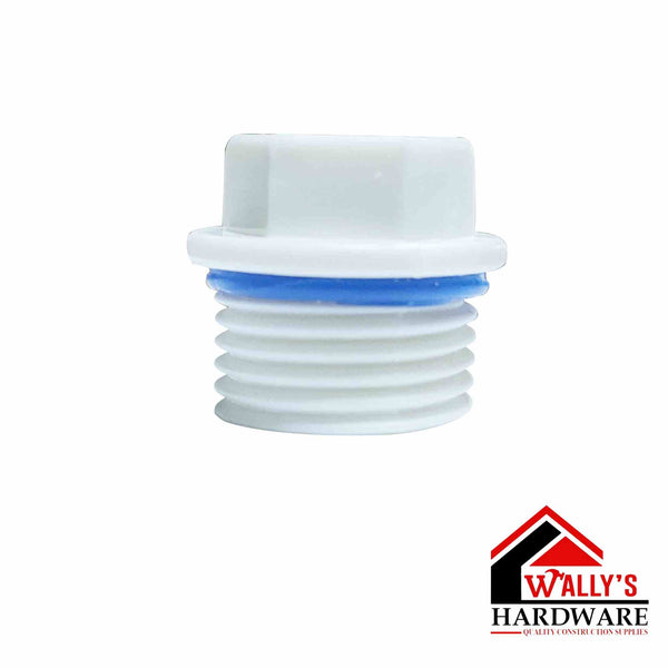 PPR Plug – Wally's Hardware